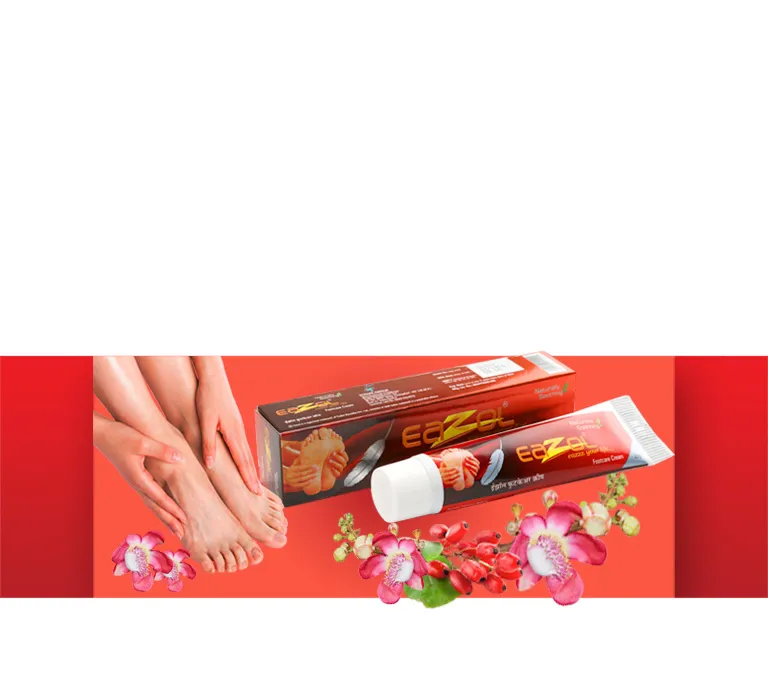 Our Product